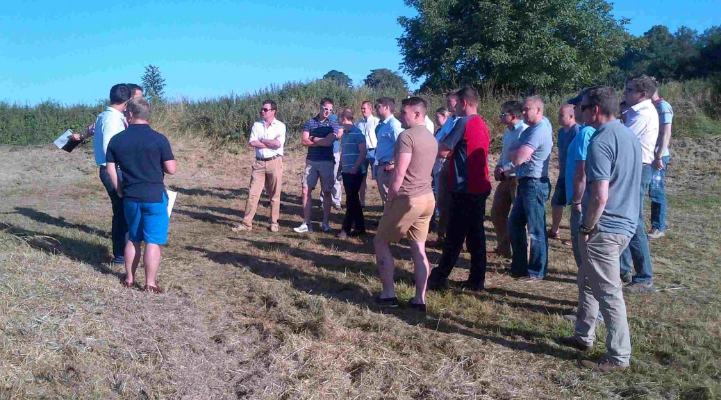 IN THE FOOTSTEPS OF A COUNTY REGIMENT IN NORMANDY | The Observation Post
